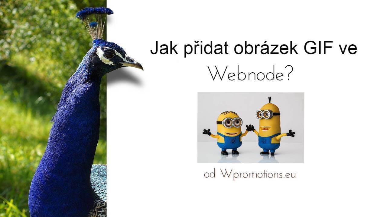 Jak přidat obrázek GIF ve Webnode? | William Promotions