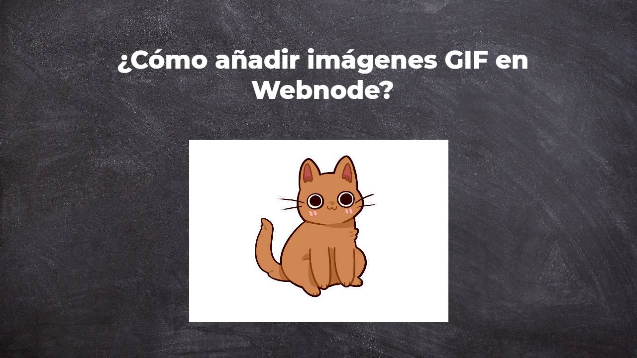 ¿Cómo añadir imágenes GIF en Webnode? | William Promotions